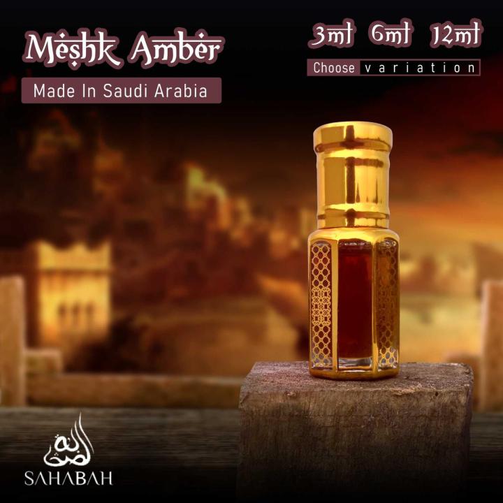 Meshk Amber-Made in Saudi Arabia -Premium Arabian Attar | 3ML | 6ML ...