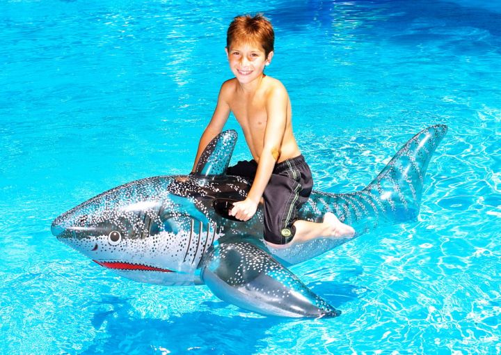 Intex Great White Shark Inflatable Ride On Swimming Pool Toy Float ...