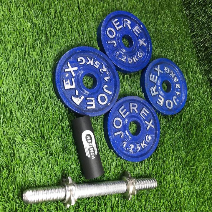 Four Pieces Dumbbell Set With 1Pc 10 inch Sticks - 5Kg - Blue and ...