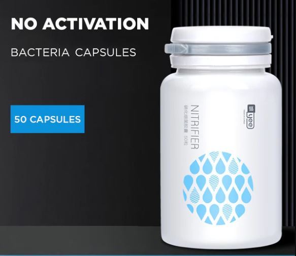 YEE Nitrifier 50 pcs 48hrs Establish Nitrification | Daraz.com.bd