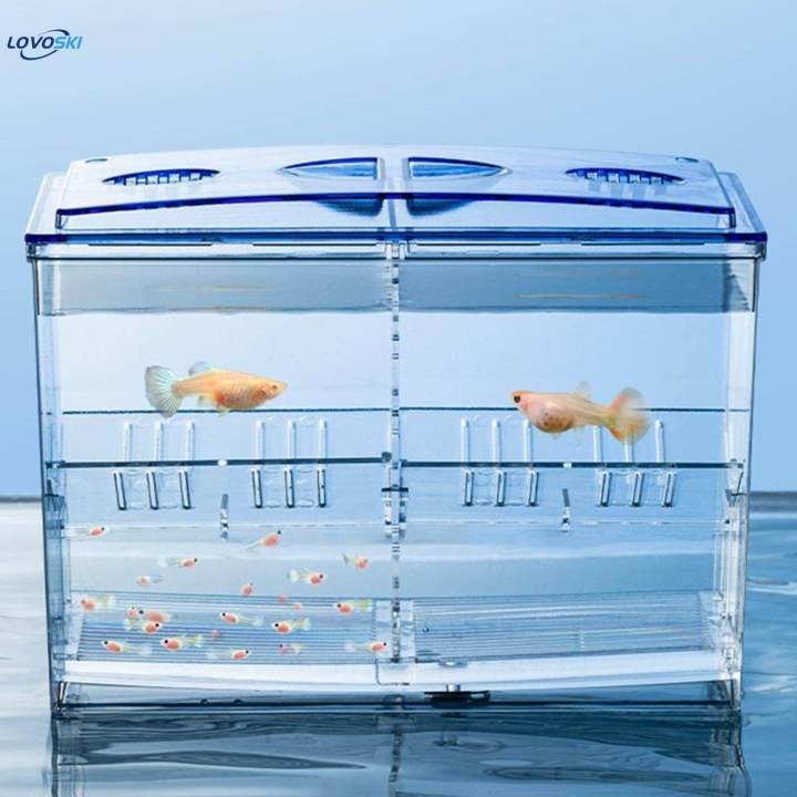 Fish Breeding Box Clear Fish Box for Fish Supplies | Daraz.com.bd