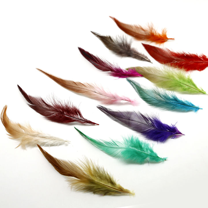 100pcs/pk Red Tip Chicken Feather Craft Feather Wedding Party Feather ...