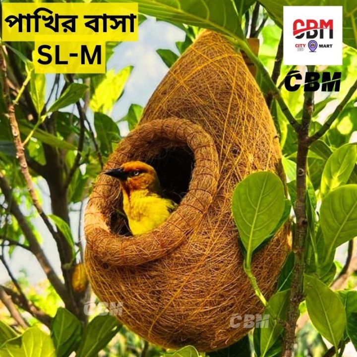 Bird nest Artificial Eco-friendly Babui Pakhir Basha Height 10 inch ...