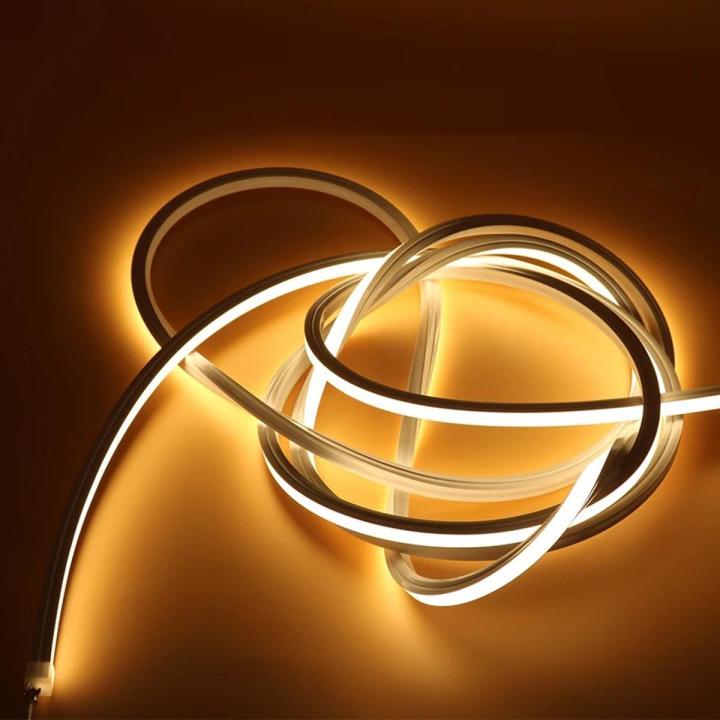 5M LED Flexible Silicone Neon Light Strip Set 5050 Low Voltage DC 12V 6 ...