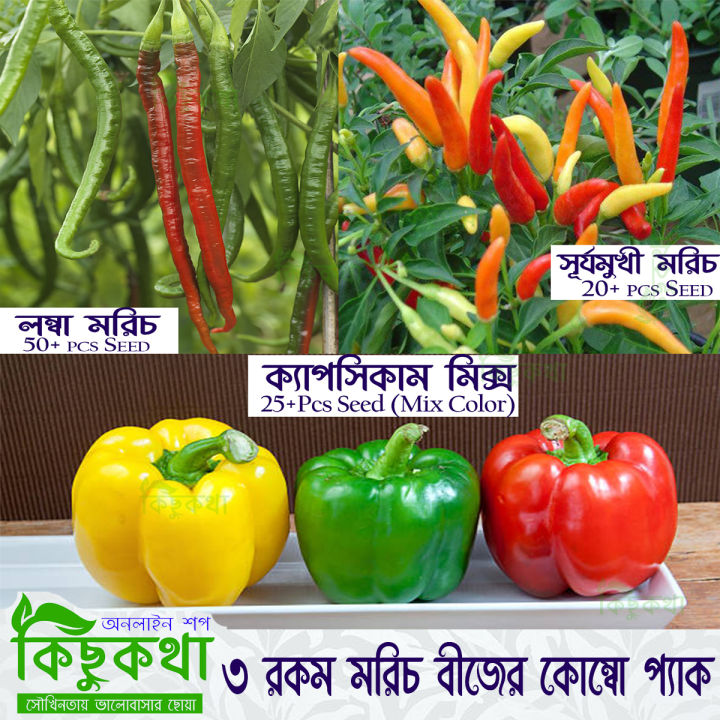 3 Type Chili Seed Combo Pack - Capcicum, Long Chili & Suryamukhi Chili ...
