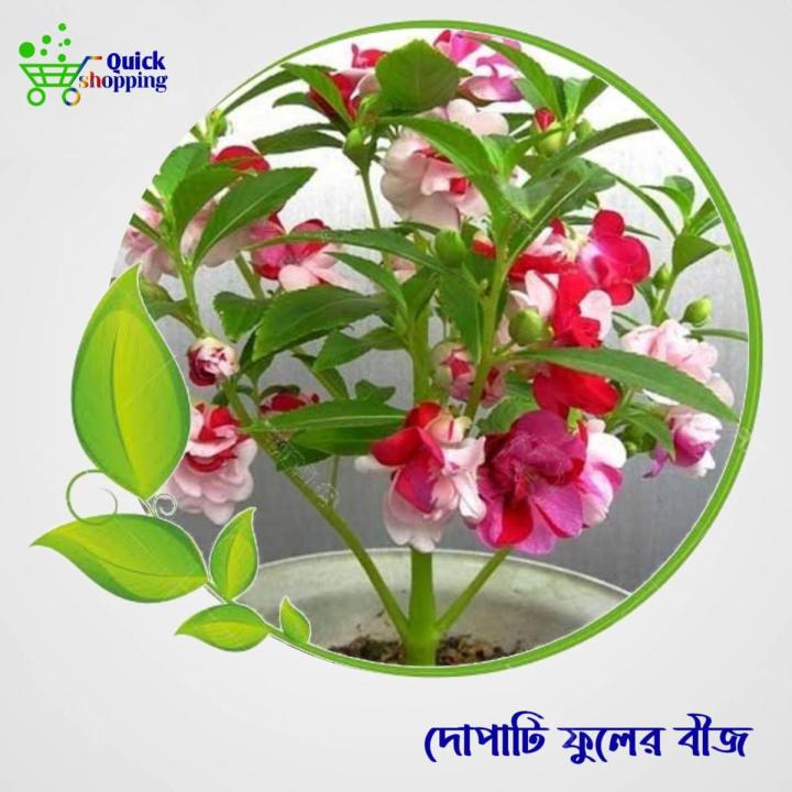 Bolsam (Dopati) Flowers Seeds 25 Pice | Daraz.com.bd