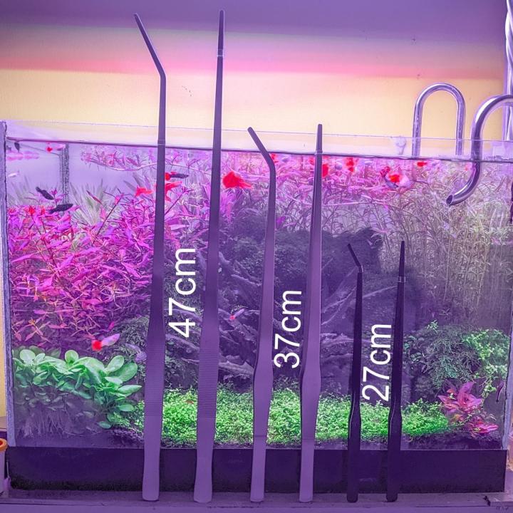 Stainless Steel Long Tweezers, Aquarium Curved and Straight Design 47cm ...