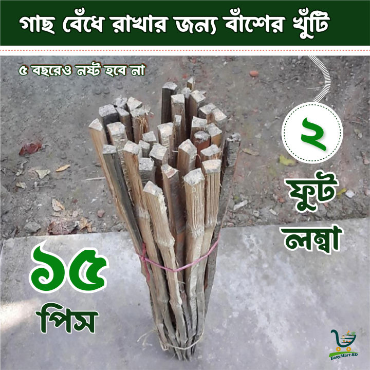 Top Quality 2 Feet Bamboo Gardening Stick – (15 pcs) – Plant Support ...