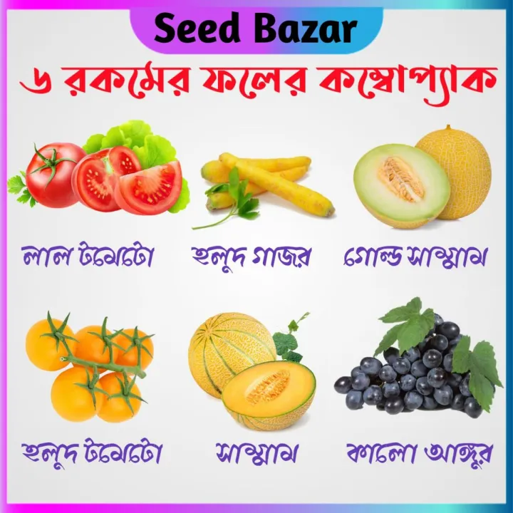 25 Pis Fruits Seeds Combo pack (all season) | Daraz.com.bd