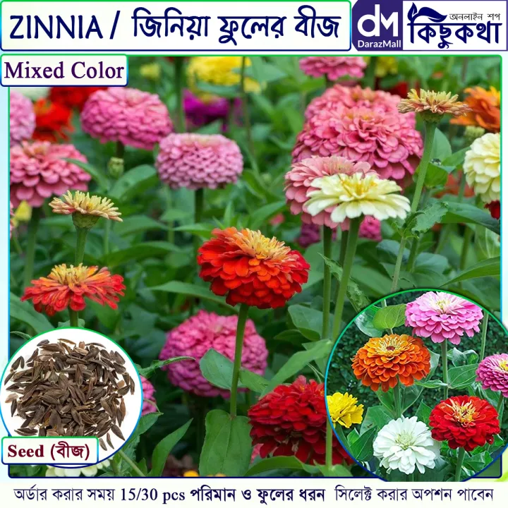 Zinnia / জিনিয়া ফুলের বীজ - 15/30 pcs Mixed Color Zinnia Flower Seed ...