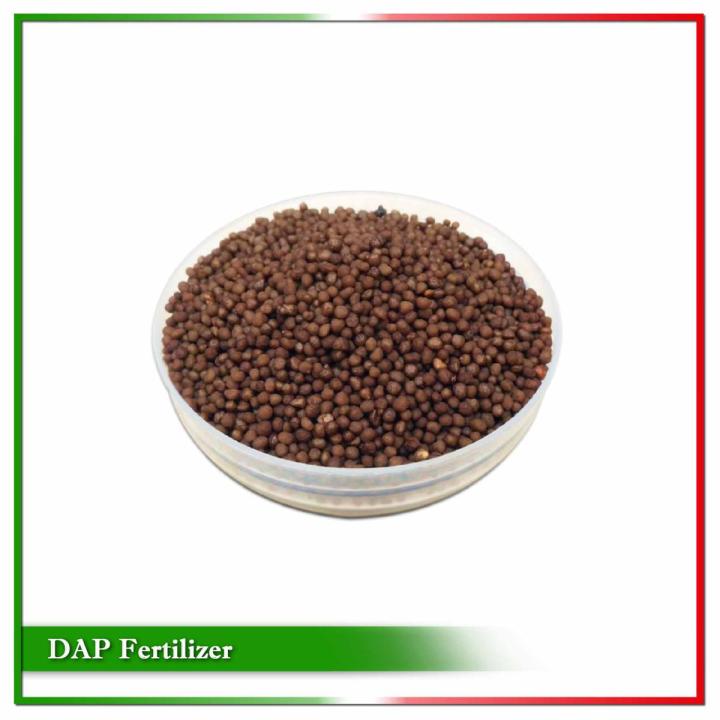DAP (Di Ammonium Phosphate) Fertilizer - 500 gm | Daraz.com.bd