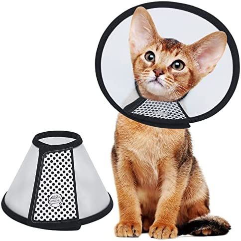Elizabeth E-Collar for Cat Size NO-5 or 6 | Daraz.com.bd