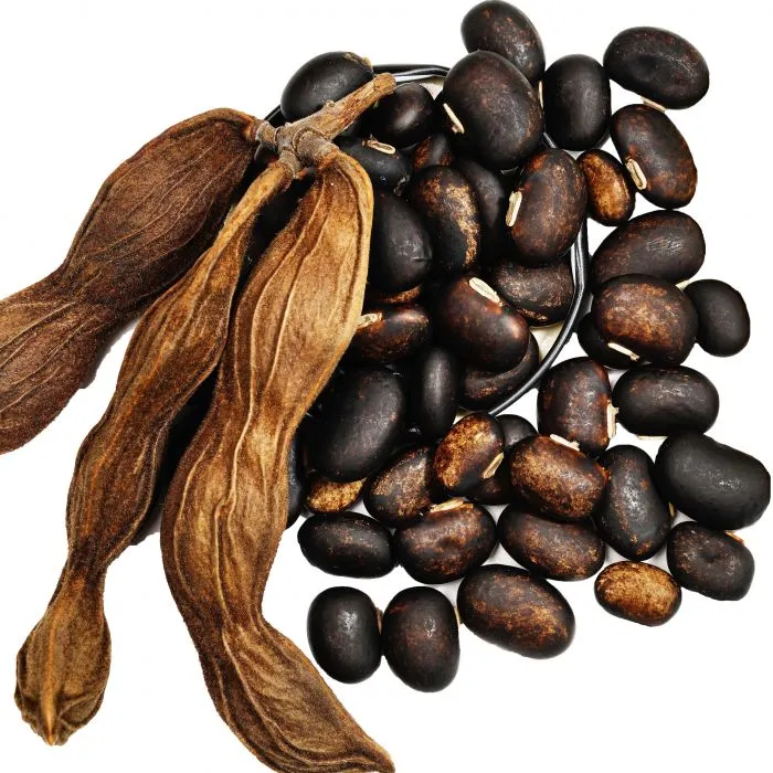 Alkushi Seed, Alkushi Bij - 100 gram | Daraz.com.bd