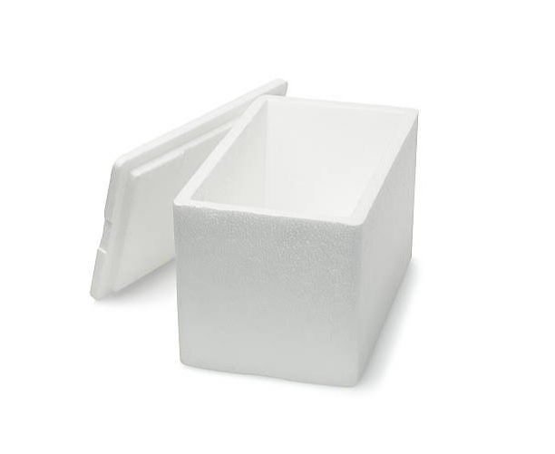 Small 8-10 kg ice box for carrying fish/meat and any frozen foods ...