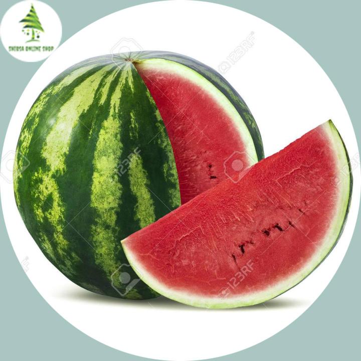 Watermelon Seeds - 10 Pcs Seeds | Daraz.com.bd
