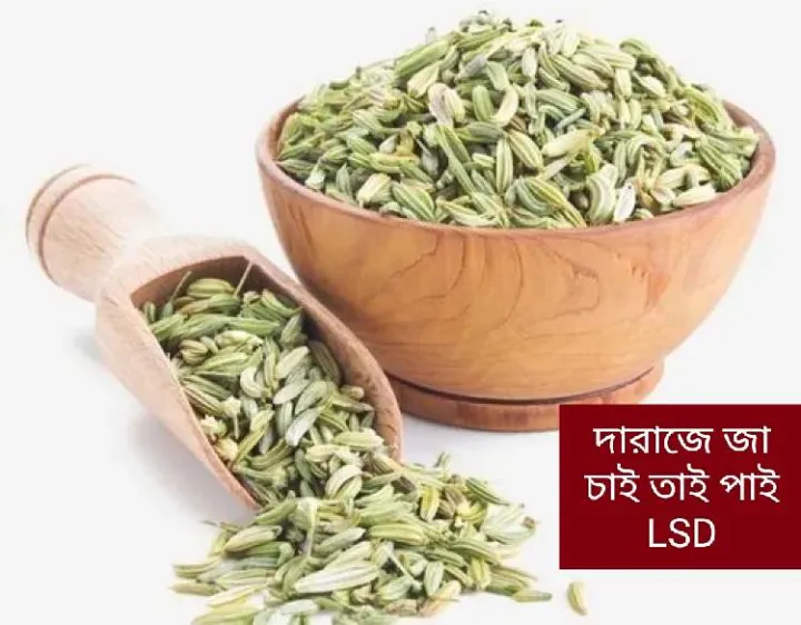 Fennel Seed pan Mouri 100 gmClean | Daraz.com.bd