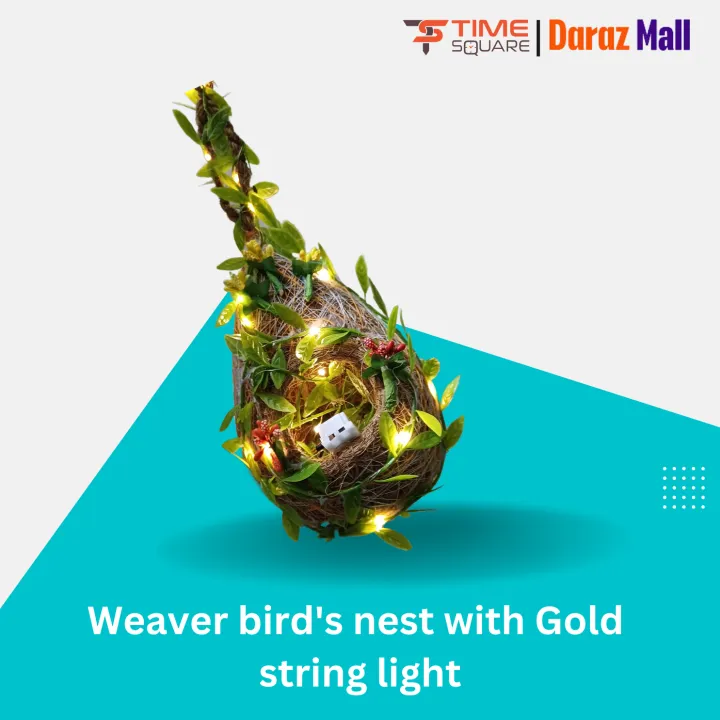 Decorative Weaver bird's nest with Gold string light | Daraz.com.bd