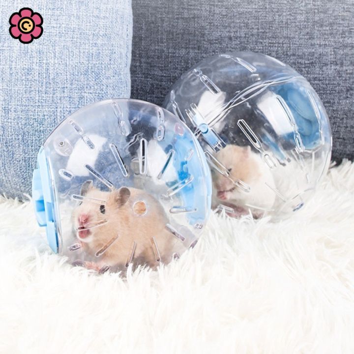 HSU Plastic Hamster Fitness Ball Portable Transparent Hamster Mini Ball ...