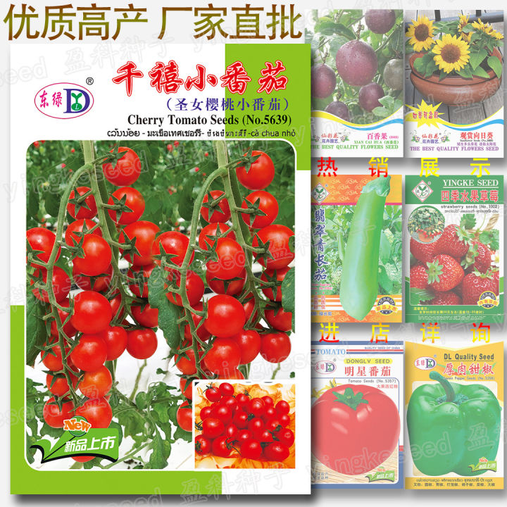 Red Cherry Tomato Seed Chinese Imported (Intake Packet) 50 pcs | Daraz ...