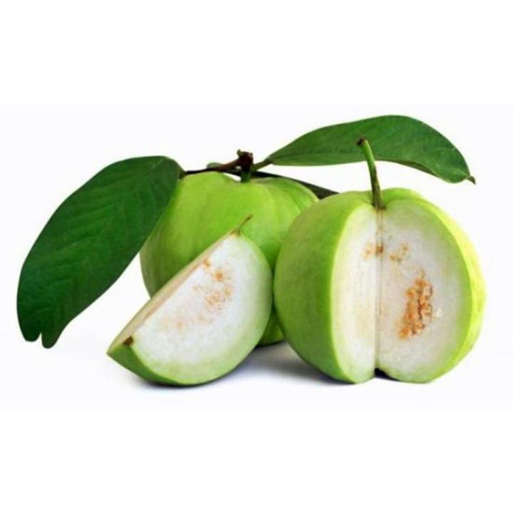 All Season Sweet Guava Seeds (Seeds) - 15 Pcs Seeds | Daraz.com.bd