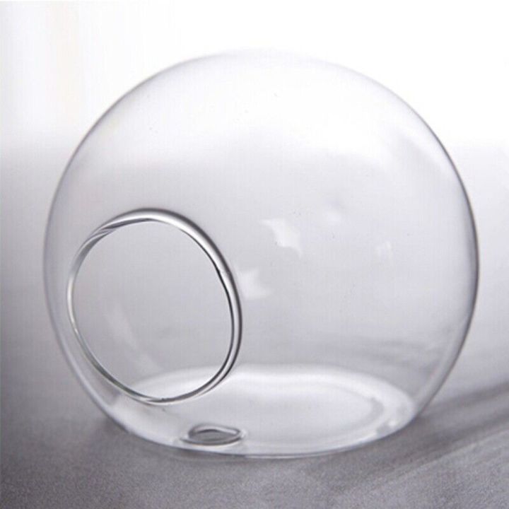 High Borosilicate Glass Transparent Hydroponics Flower Wall Mounted ...