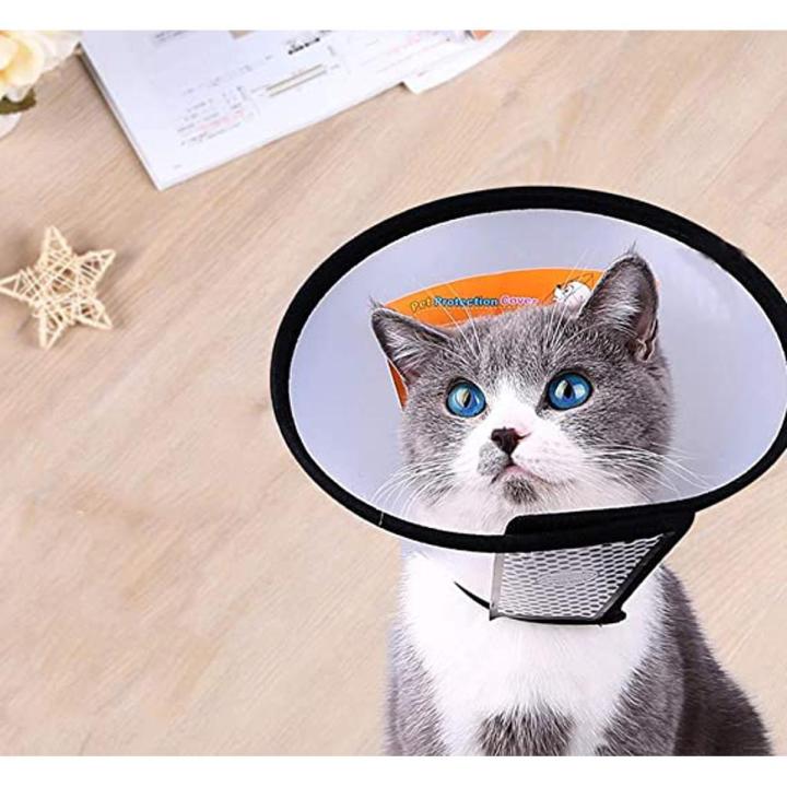 Elizabethan E-Collars For Cats Size No-6 | Daraz.com.bd