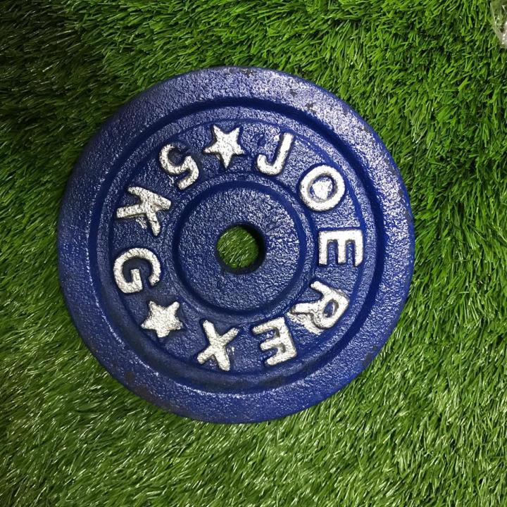 Blue Dumbbell Plate - 5Kg | Daraz.com.bd