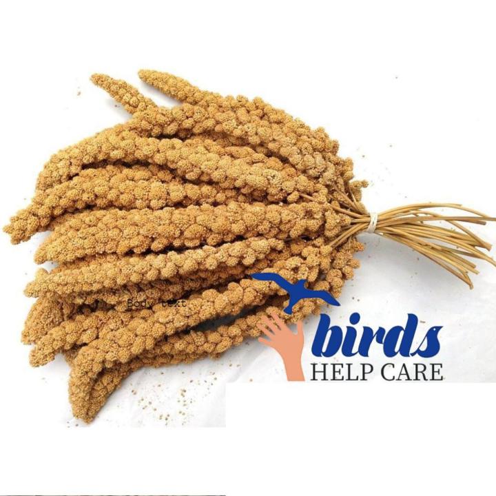 Millet Spray For Bird (Veresele Laga)-100g | Daraz.com.bd