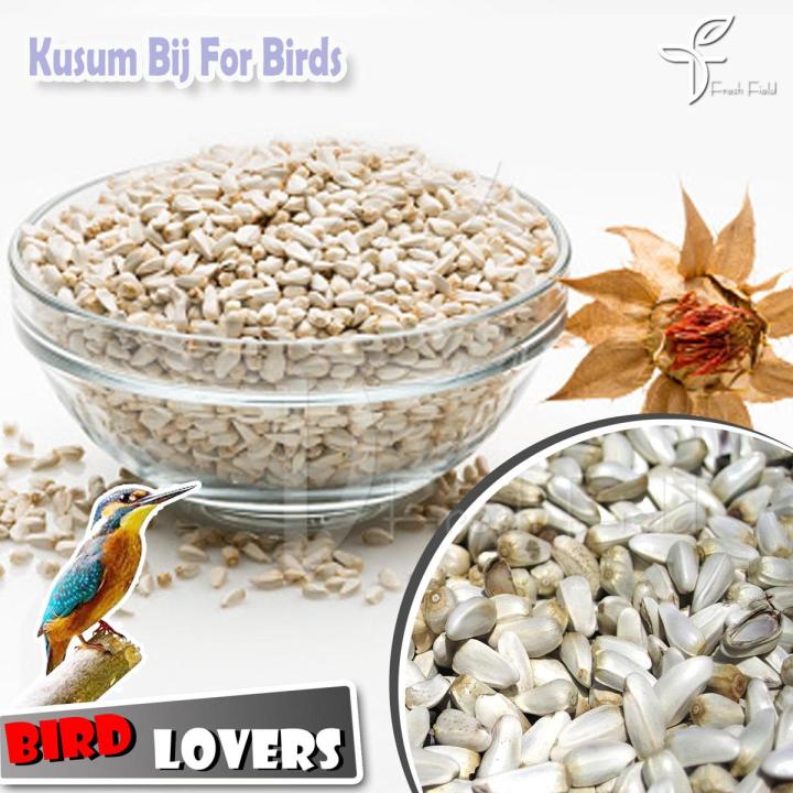 Safflower Seed (Kusum Bij) For Birds - 1 kg | Daraz.com.bd