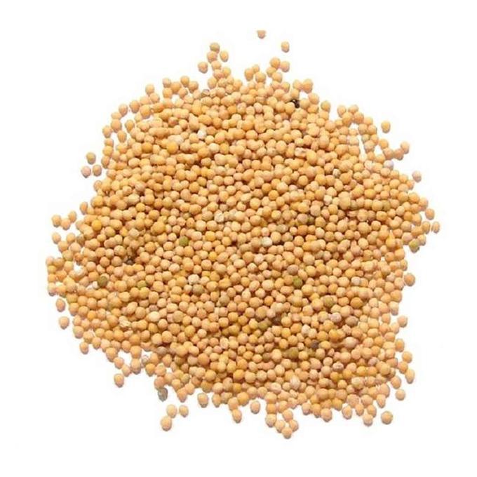 White Mustard Seed - 500gm | Daraz.com.bd