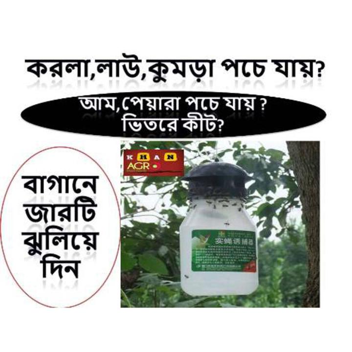 Fruit fly trap-fly catcher pheromone trap with Plastic bottle | Daraz ...