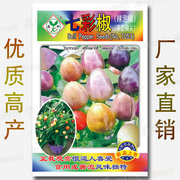 Bell Pepper Seed Chinese Imported (Intake packet) 50 pcs | Daraz.com.bd