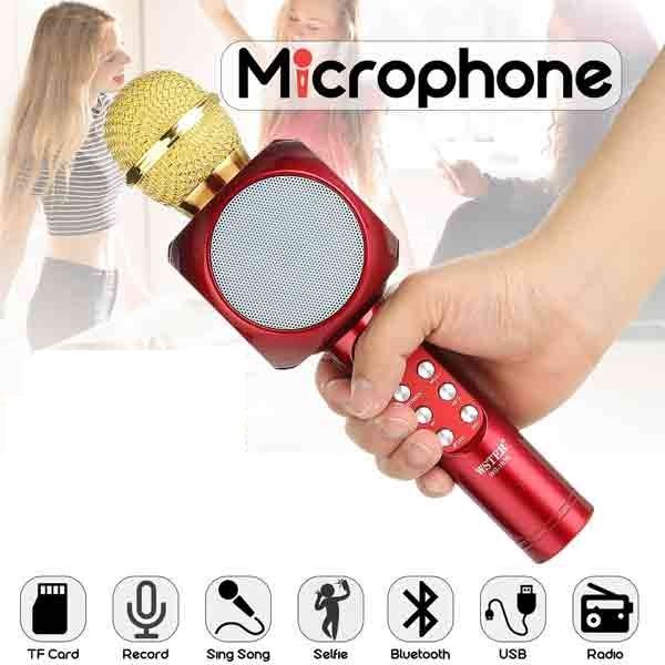Wster 1816 Bluetooth Microphone Karaoke | Daraz.com.bd