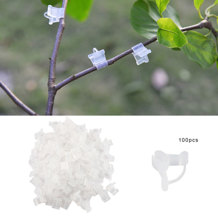 100Pcs Support Clips Grafting for Vegetable Fruit Garden Tools | Daraz ...