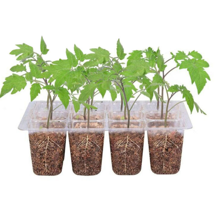 Transparent plastic plant propagate seed tray 12 cells - Vintage Choice ...