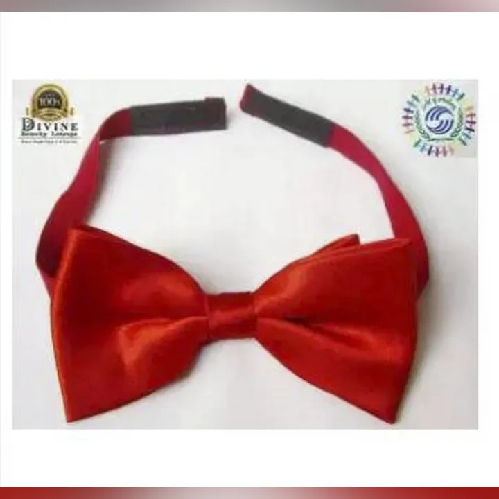Bow Tie Black Silky Polyester Neck Tie | Daraz.com.bd