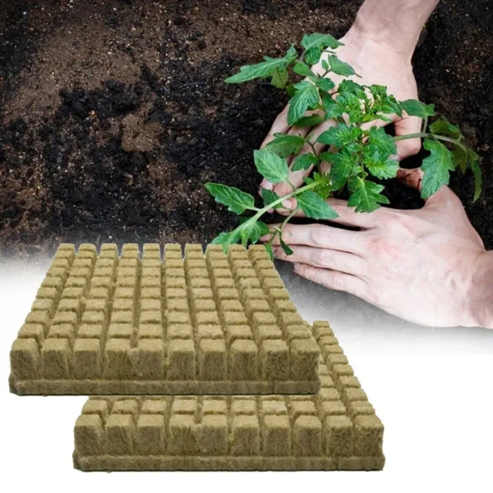 【Shop the Look】 50pcs 25x25x25mm Stonewool Hydroponic Grow Cubes Cubes ...