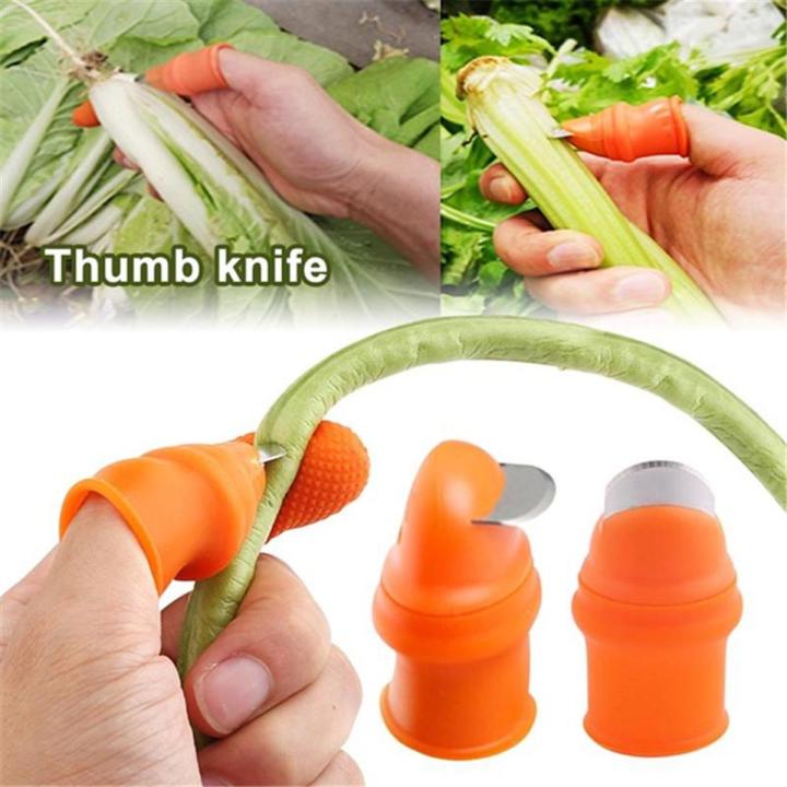 Silicone Vegetable And Fruits Thumb Cutter Finger cutter 5 in 1 | Daraz ...