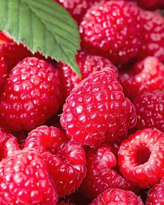 100 Pcs Global Giant Raspberry Fruit Tree Seeds | Daraz.com.bd