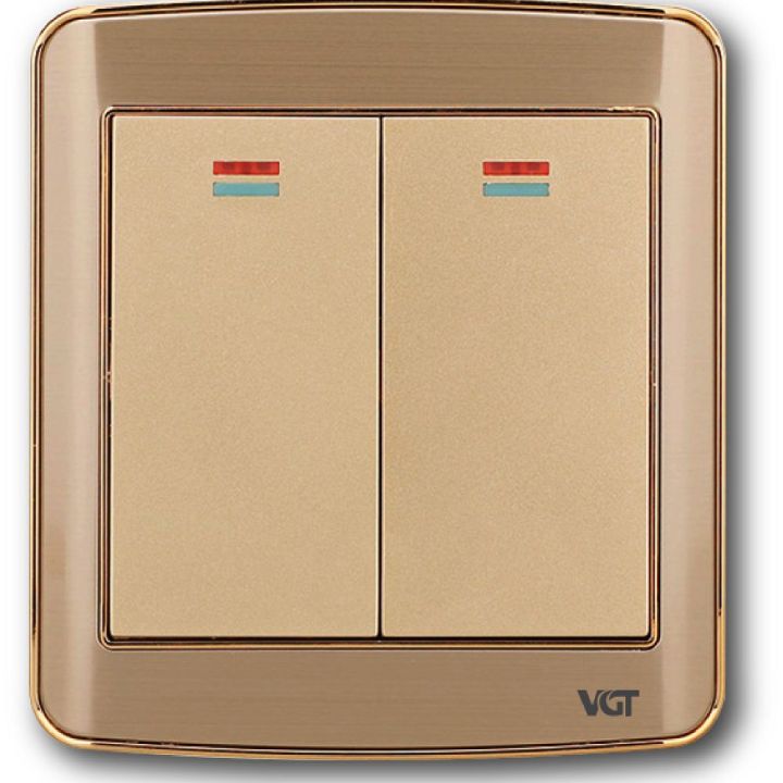 VGT- 2 gang 1 way switch (Golden series) | Daraz.com.bd