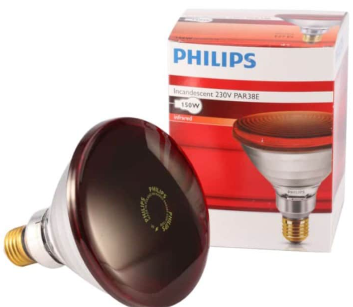 Philips Infrared Lamp BULB-150W | Daraz.com.bd