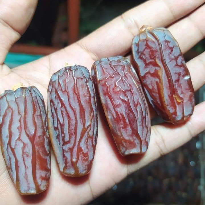 Mabroom/ Moriom vip Dates - 1 kg | Daraz.com.bd