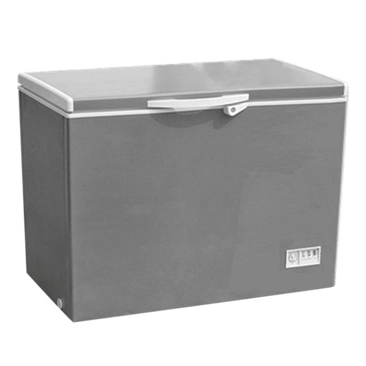 VISION Chest Freezer VIS - 250 L Grey | Daraz.com.bd