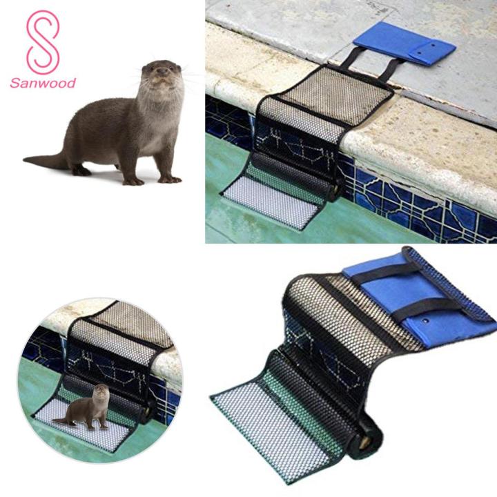 Animal Pool Escape Ramp Great Friction Frog Saver Saving Frogs Mice ...