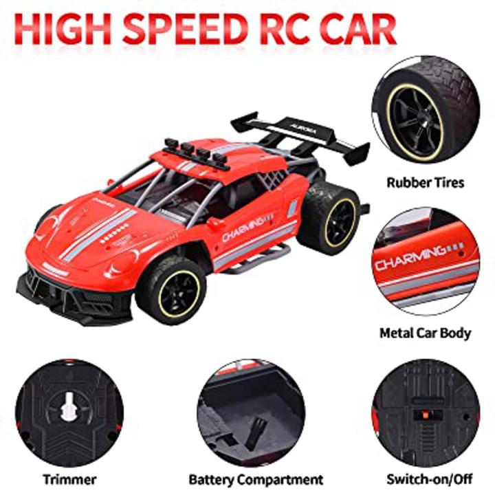 1:16 Spray Runner RC Car Rechargeable High Speed 2.4 GHz Multi ...