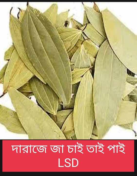 Tejpata (Bay Leaves) Loose 50g Clean | Daraz.com.bd