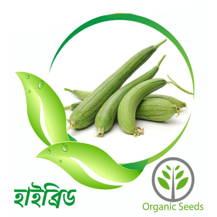 ধুন্দল ১০টি বীজ Dhundal Seeds 10 pcs | Daraz.com.bd