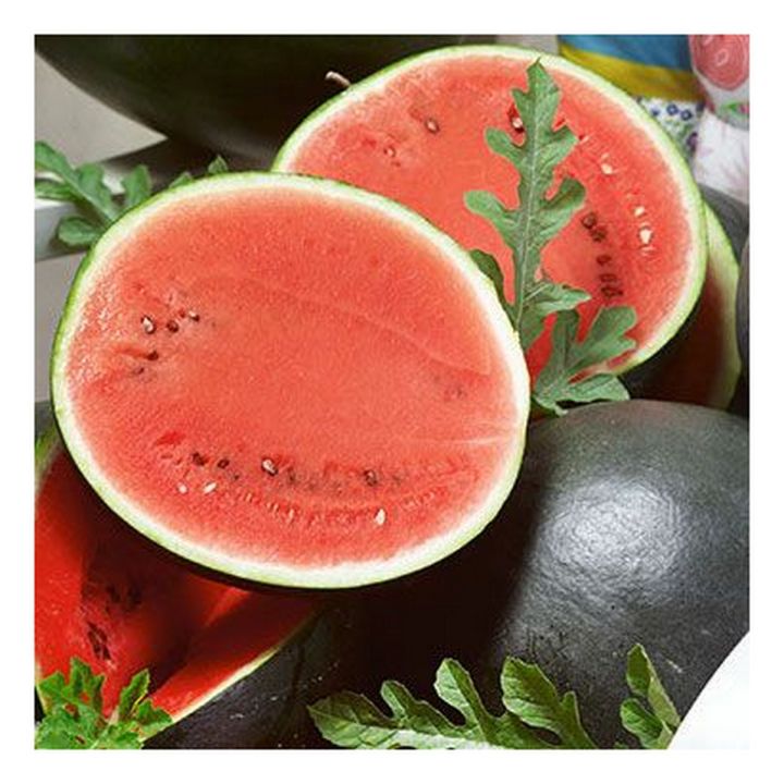 Watermelon big Size Seeds GREEN AND RED 10pcs | Daraz.com.bd