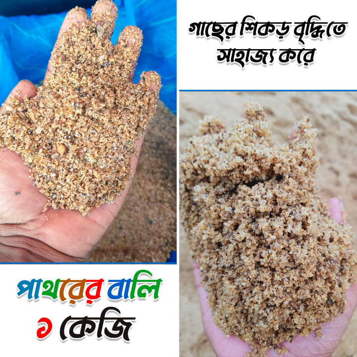 Red Sand / Selection sand - Processed Red Sand For Gardening And Making ...