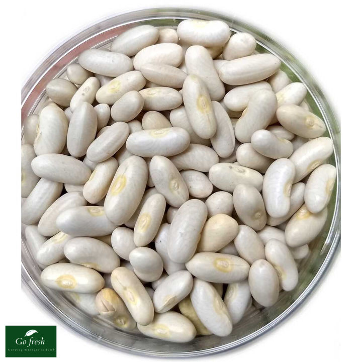 White Kidney Beans(সাদা কিডনি মটরশুটি) (Rajma) 500 gm | Daraz.com.bd